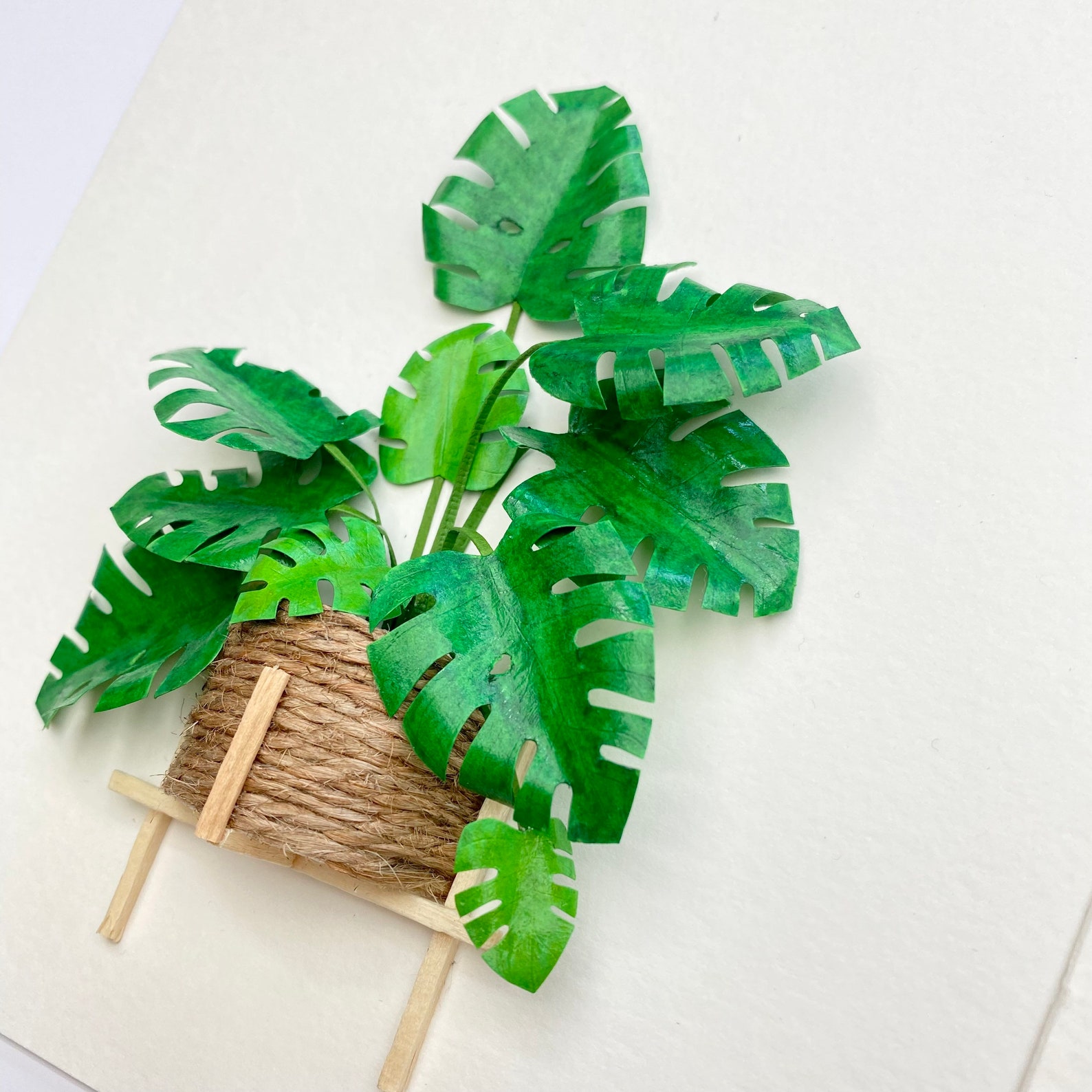Paper Monstera DIY Kit DIY Craft Kit DIY Gift Kits - Etsy