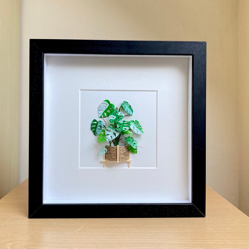 Monstera Albo Variegata Personalised Christmas Gift for Plant - Etsy