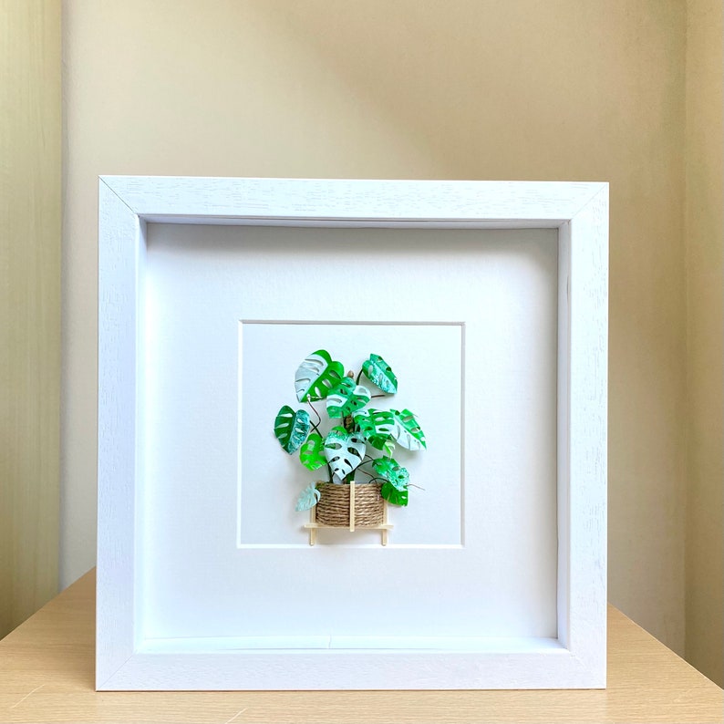 Monstera Albo Variegata Personalised Christmas Gift for Plant | Etsy