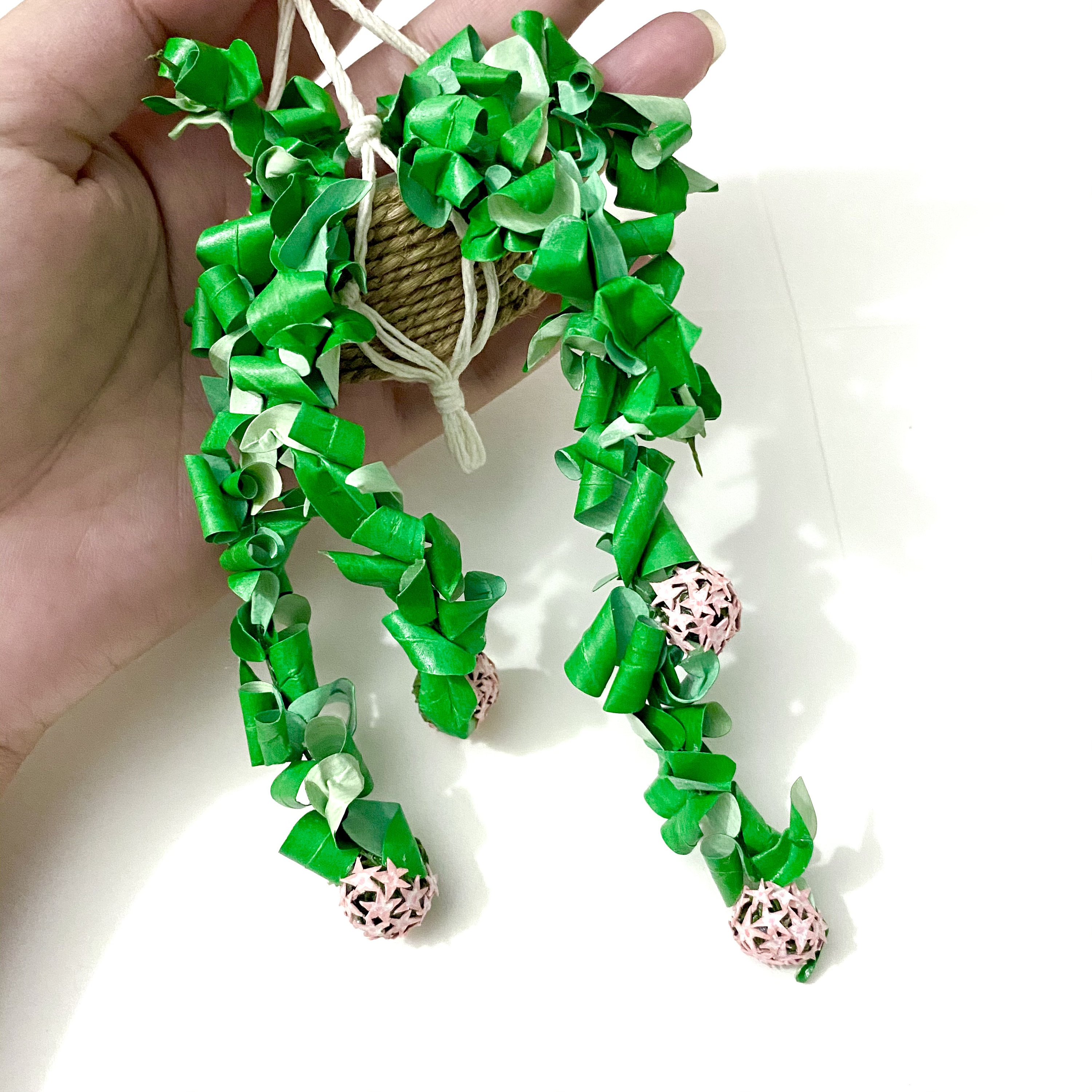 Hoya Carnosa Compacta Framed Wall Art Hindu Rope Paper plant | Etsy