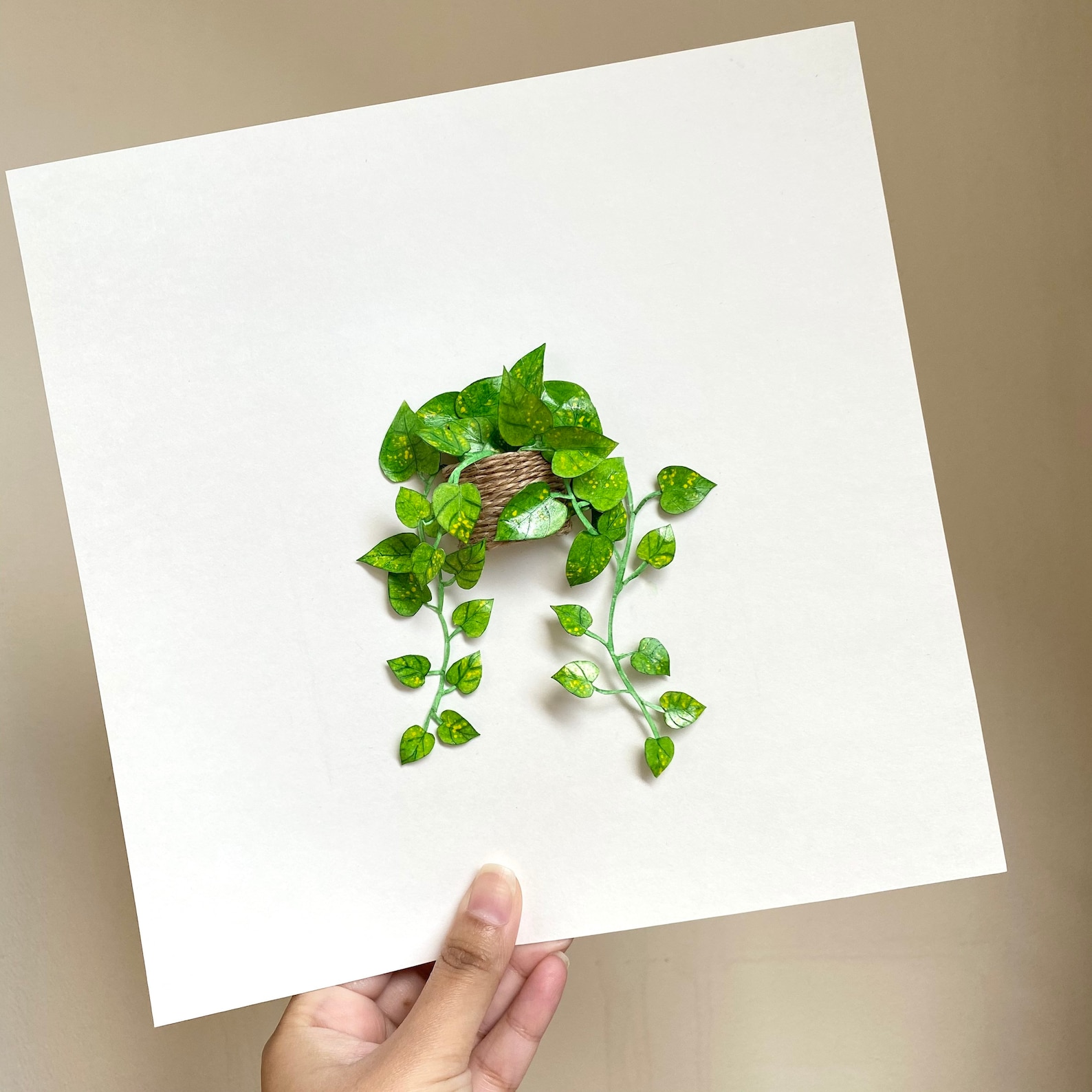 Marble Queen Pothos Framed Wall Art, Devils Ivy Plant Lover Gift, Plant ...