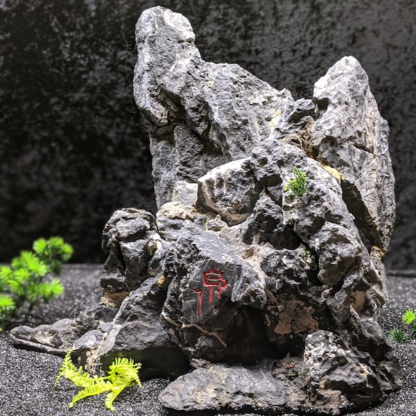 Aquascape Stone - Etsy