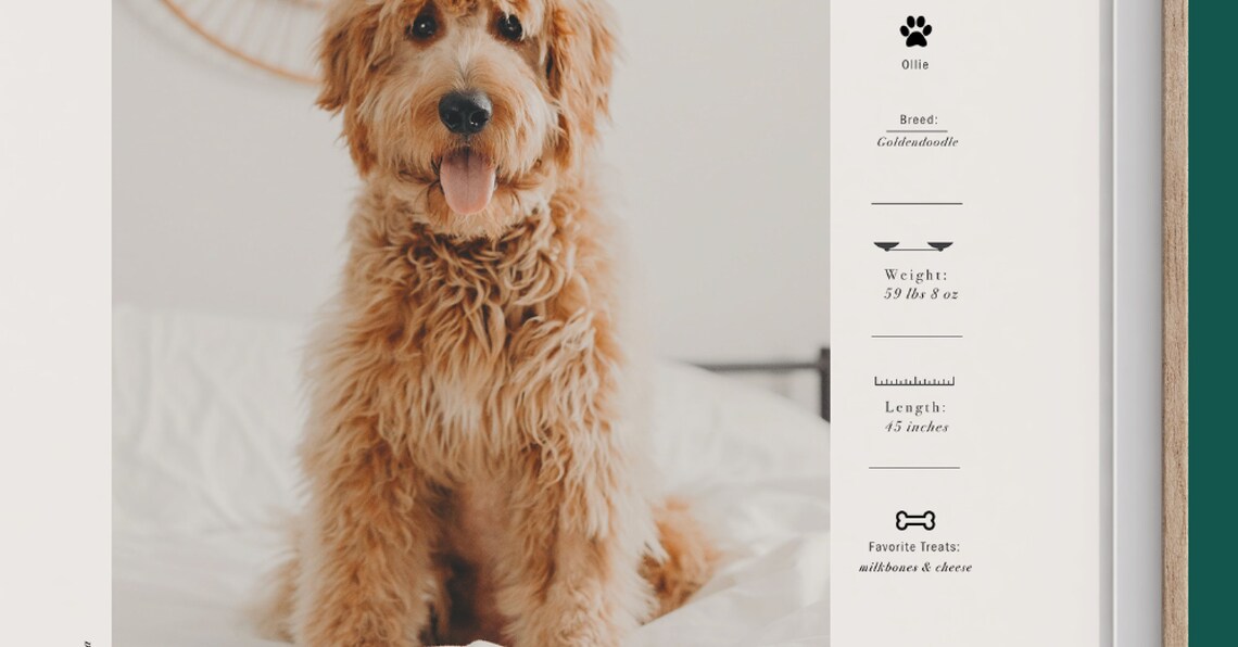 CUSTOM Pet Dog Stat Poster Sign DIGITAL DOWNLOAD - Etsy