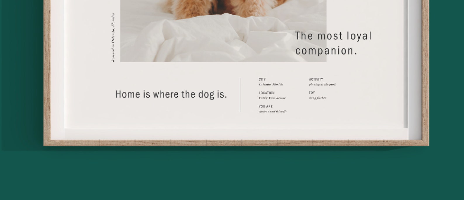 CUSTOM Pet Dog Stat Poster Sign DIGITAL DOWNLOAD - Etsy