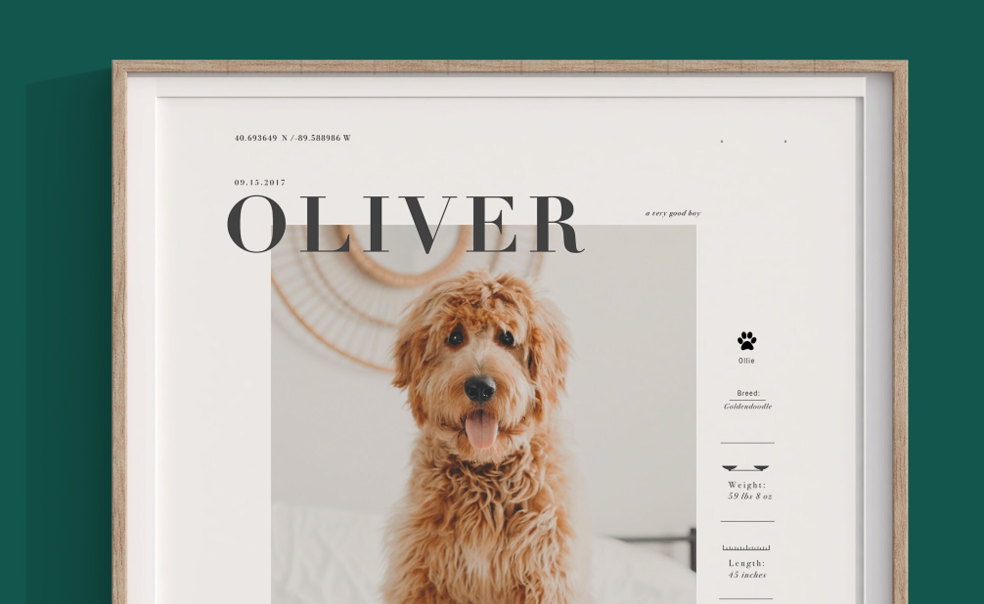 CUSTOM Pet Dog Stat Poster Sign DIGITAL DOWNLOAD - Etsy