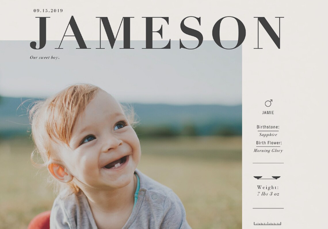 CUSTOM Baby Birth Stat Poster Sign Announcement DIGITAL DOWNLOAD - Etsy
