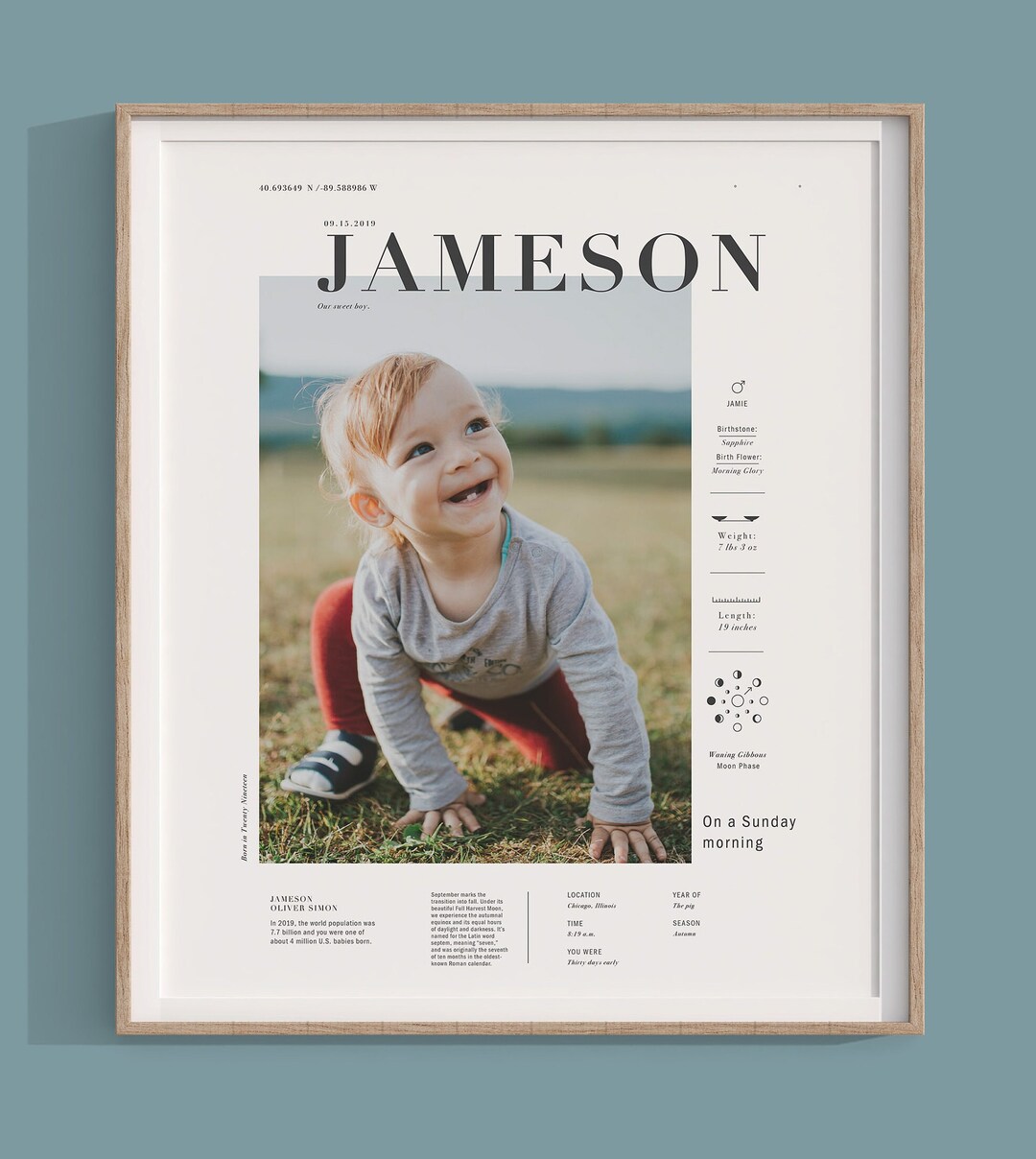 CUSTOM Baby Birth Stat Poster Sign Announcement DIGITAL DOWNLOAD - Etsy