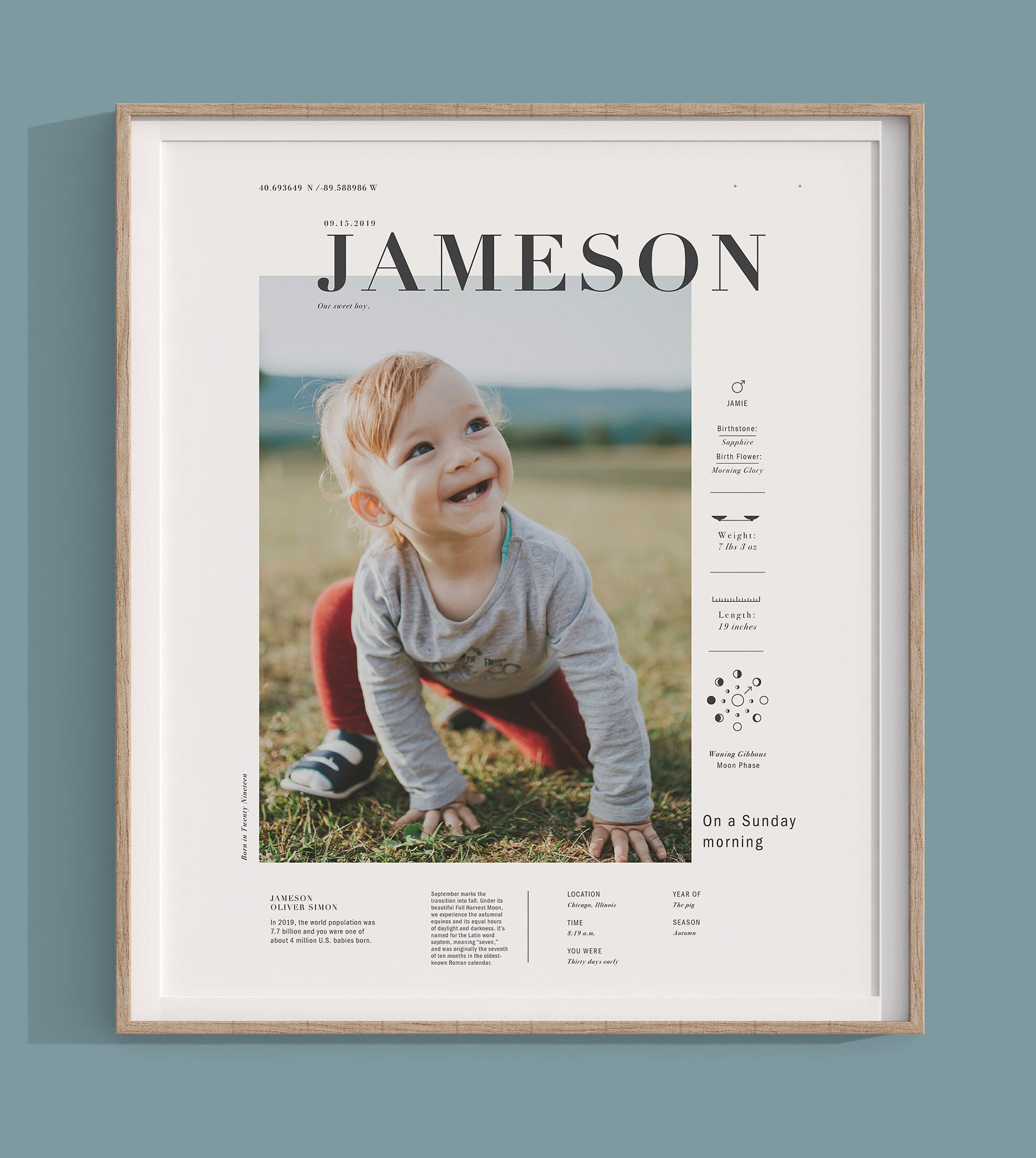 CUSTOM Baby Birth Stat Poster Sign Announcement DIGITAL DOWNLOAD - Etsy