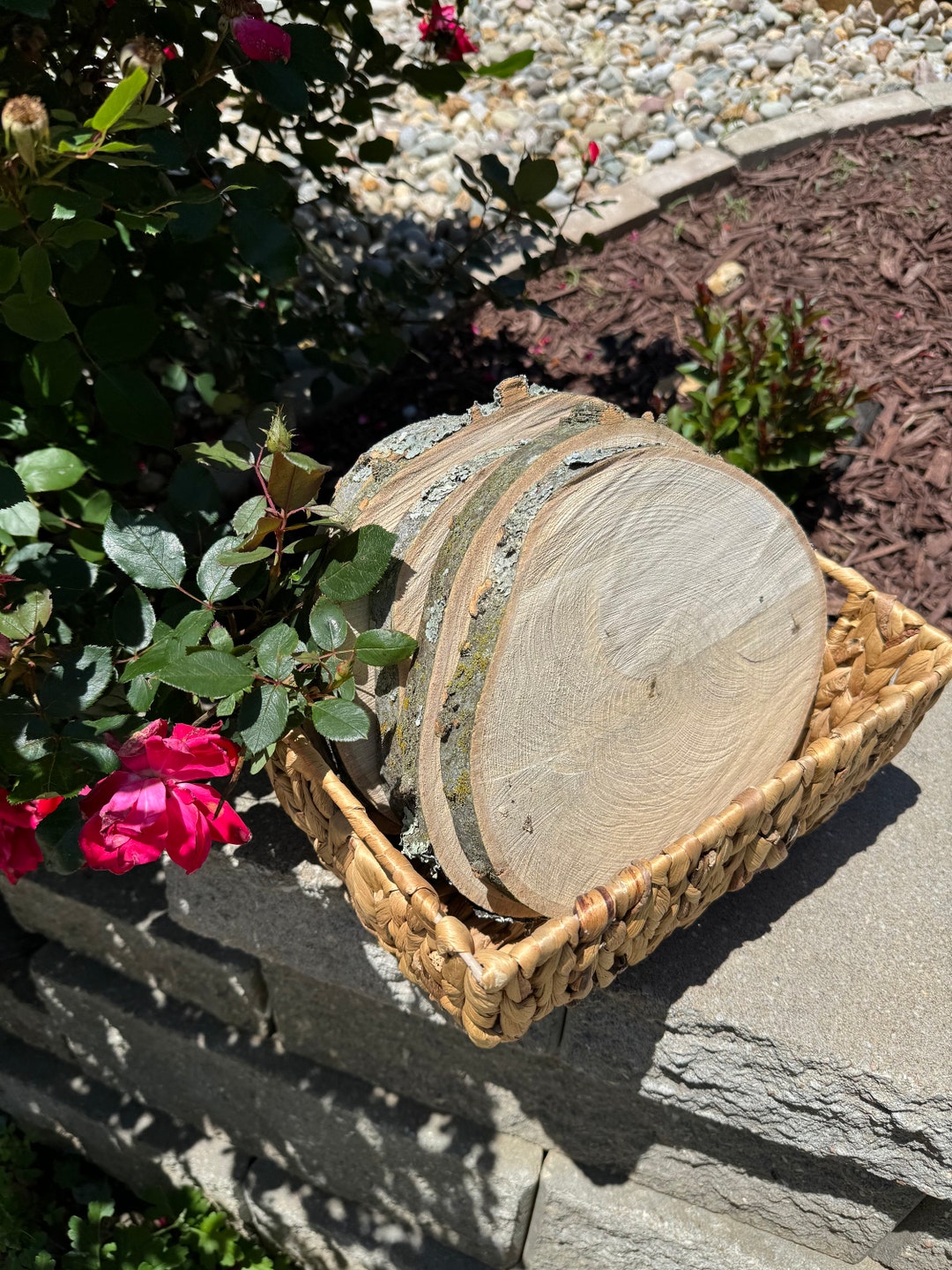 Wood Rounds 5 Count for Center Peices, Wood Circles, Wood Craft ...