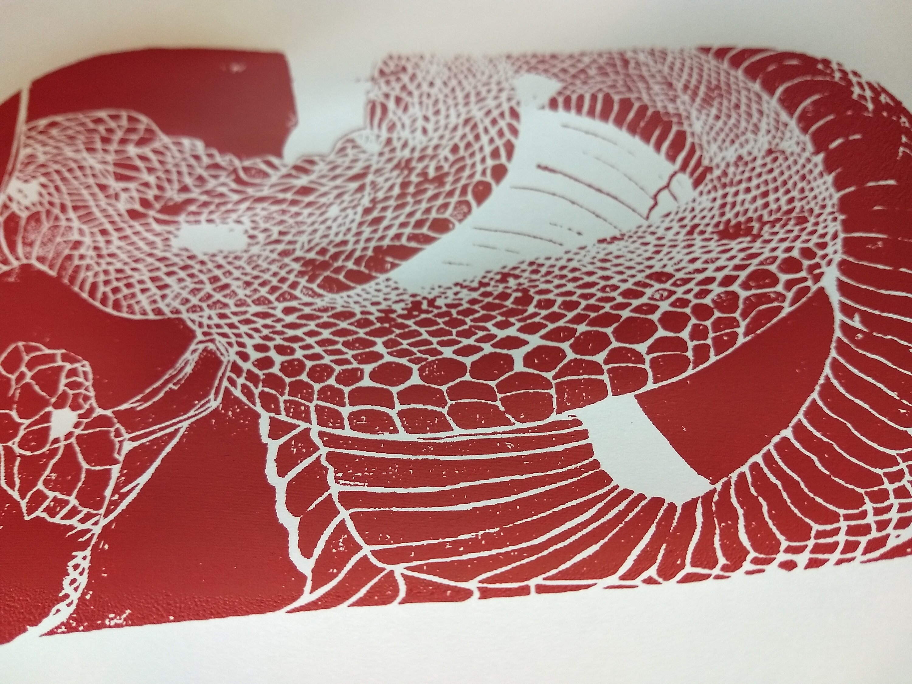 Dead Specimen (screen Print) - Etsy