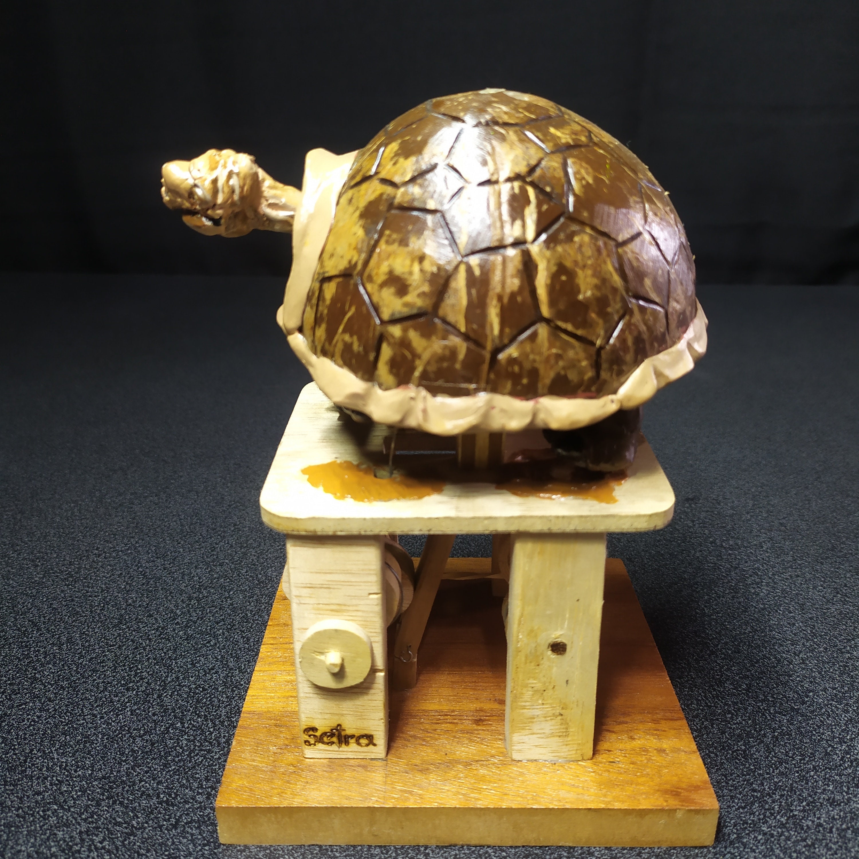 GALAPAGO TURTLE AUTOMATA - Etsy