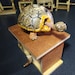 GALAPAGO TURTLE AUTOMATA - Etsy