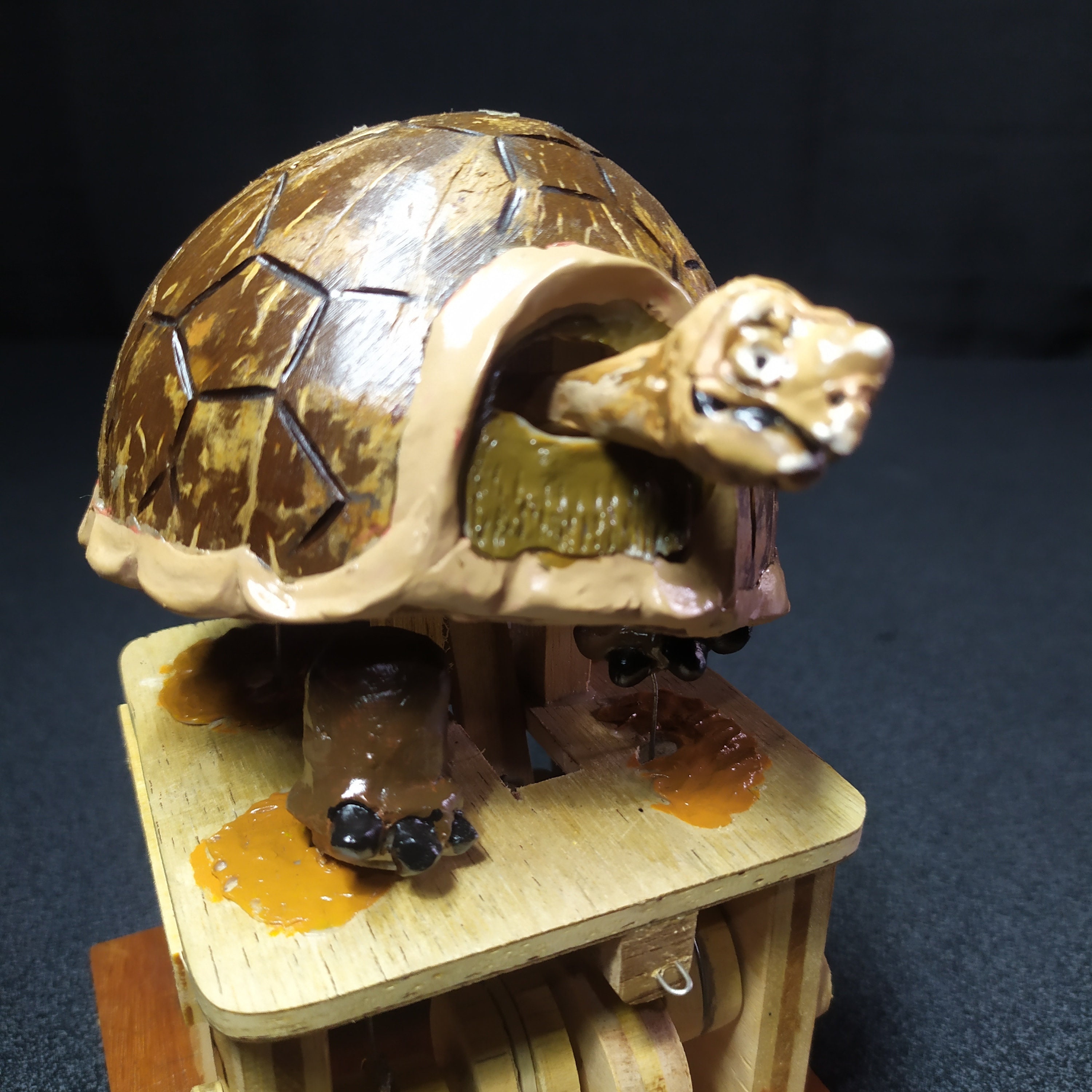 GALAPAGO TURTLE AUTOMATA - Etsy