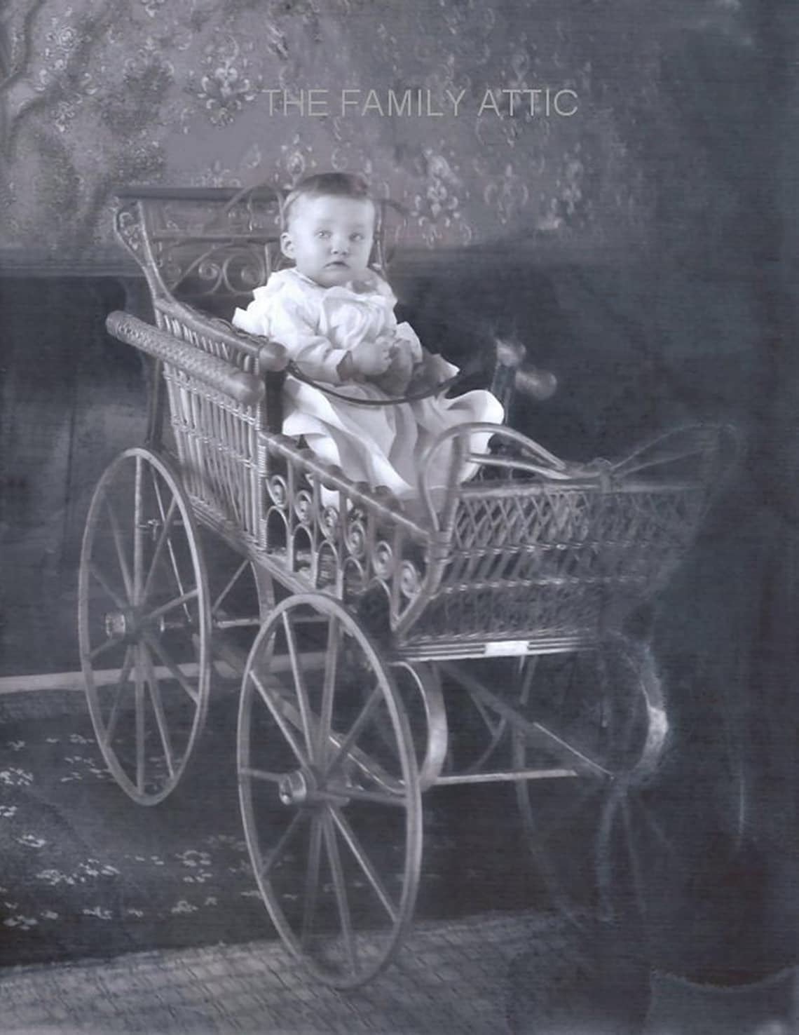 1890s Toddler Boy Photo in Victorian Baby Carriage Stroller - Etsy