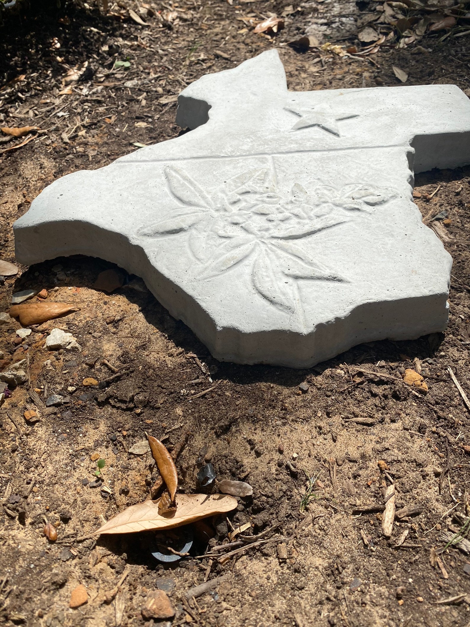 Handmade Texas Stepping Stone | Garden Decor With Star & Bluebonnet - Etsy