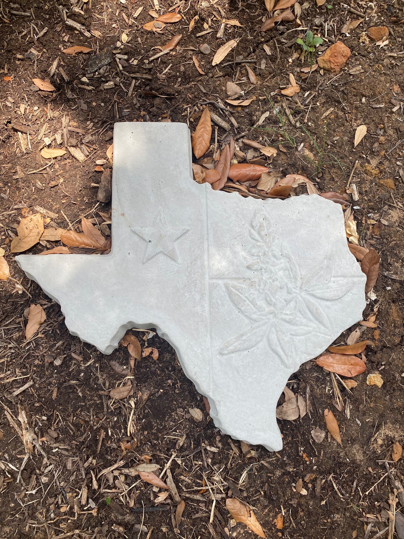 Handmade Texas Stepping Stone | Garden Decor With Star & Bluebonnet - Etsy