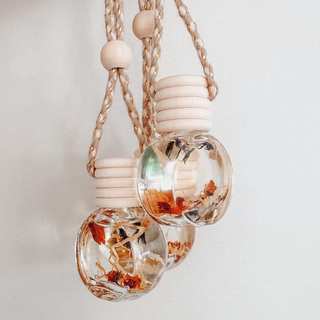 Hanging Diffuser - Etsy Australia