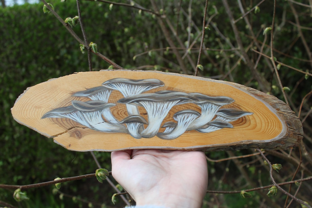 Original Mushroom Art, Hand Painted Oyster Mushrooms on Wood, Witchy ...