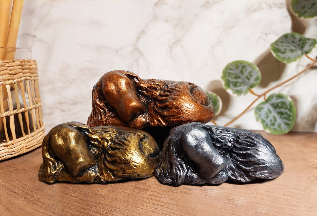 English Cocker Spaniel Springer Field German Spaniel Sleeping Dog ...