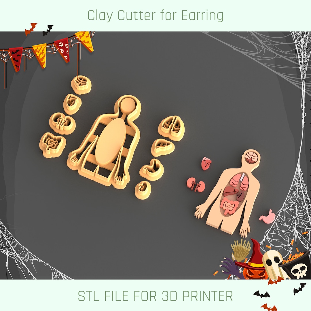 Human Organs Clay Cutter Set: Medicine Biology STL Earring (digital STL ...