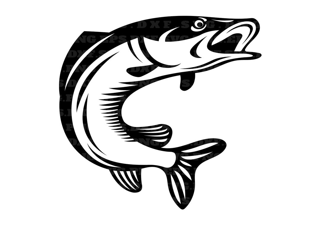 Fish Svg, Png and Svg, Png Files, Instant Download, Vector Files, Buck ...