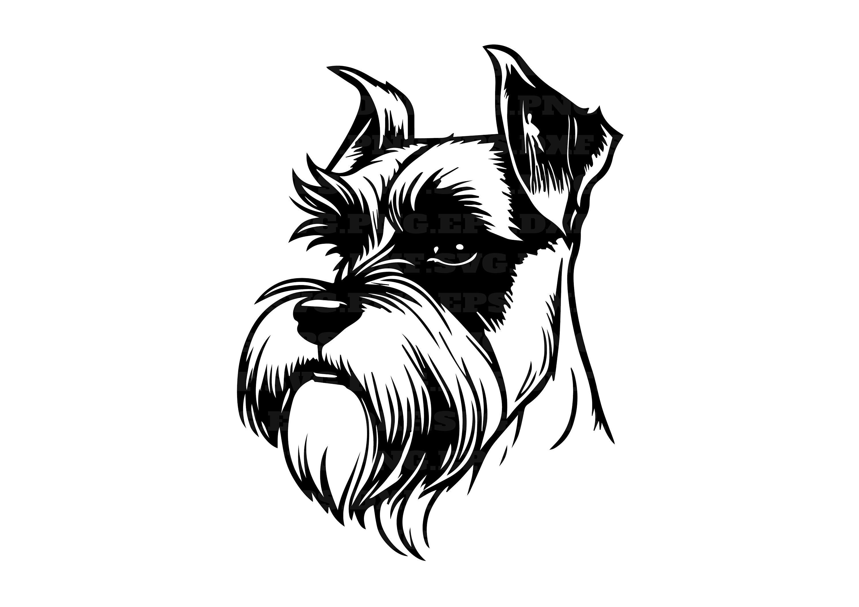 Schnauzer Dog Svg Png and Svg Png Files Instant Download - Etsy Canada