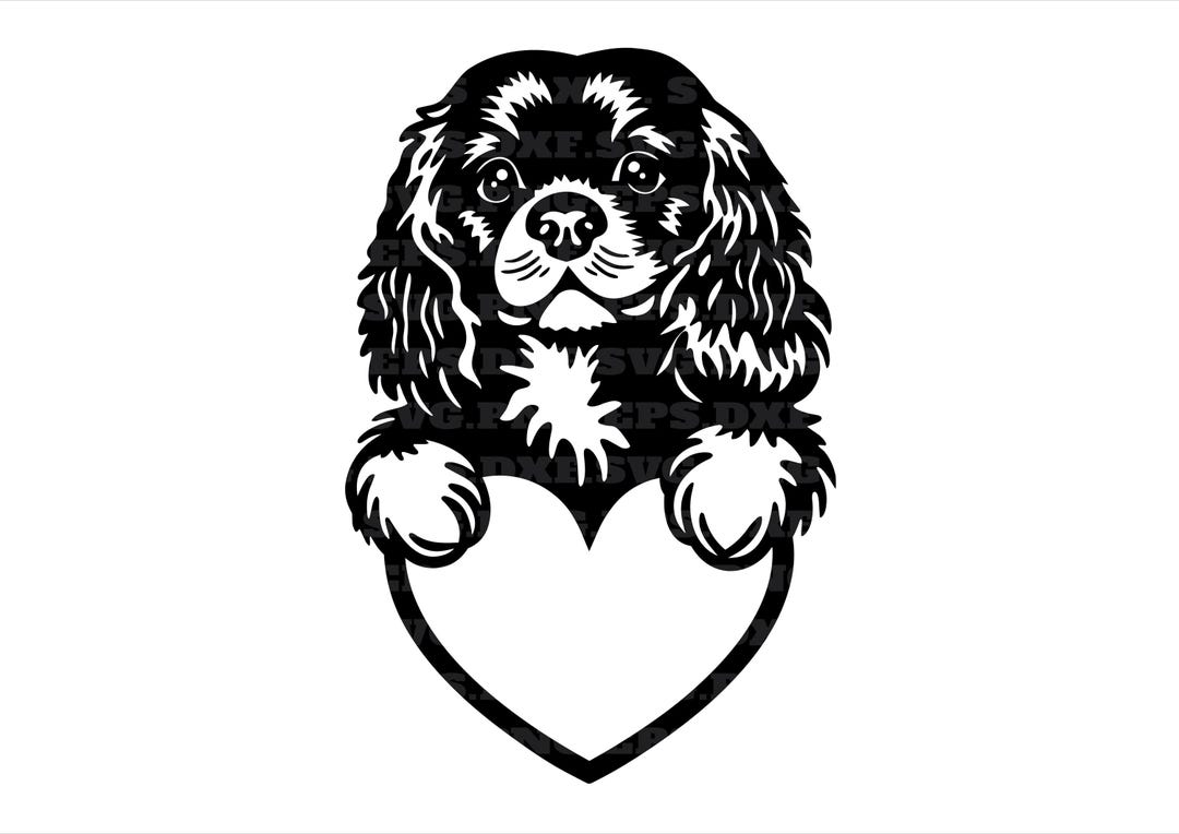 Peeking Cavalier King With Heart in a Valentine Theme, Funny Dog ...