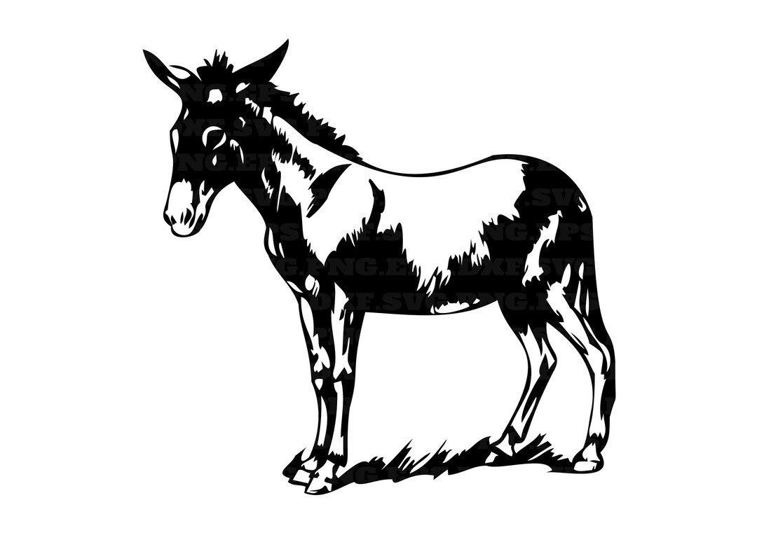 Esel svg, Esel png, Tier svg, svg Dateien, Bauernhof Tiere svg ...