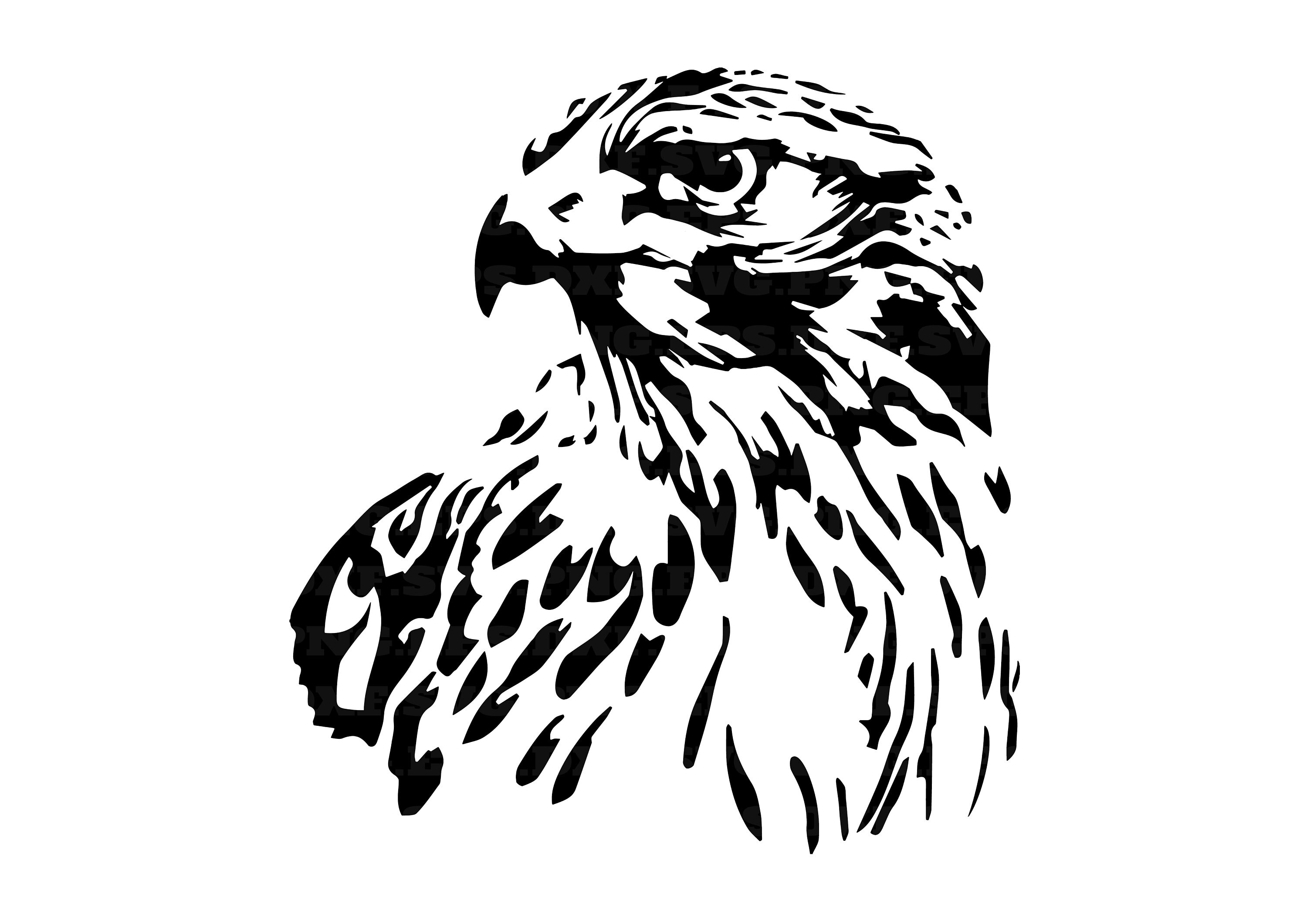 Falcon Svg Png and Svg Hawk Svg Png Files Instant - Etsy Australia