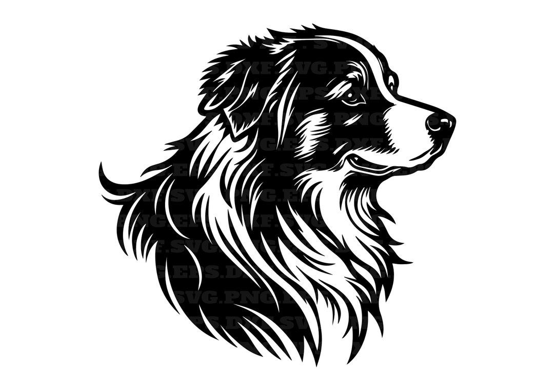 Border Collie, Dog Svg, Png and Svg, Png Files, Instant Download, Svg ...