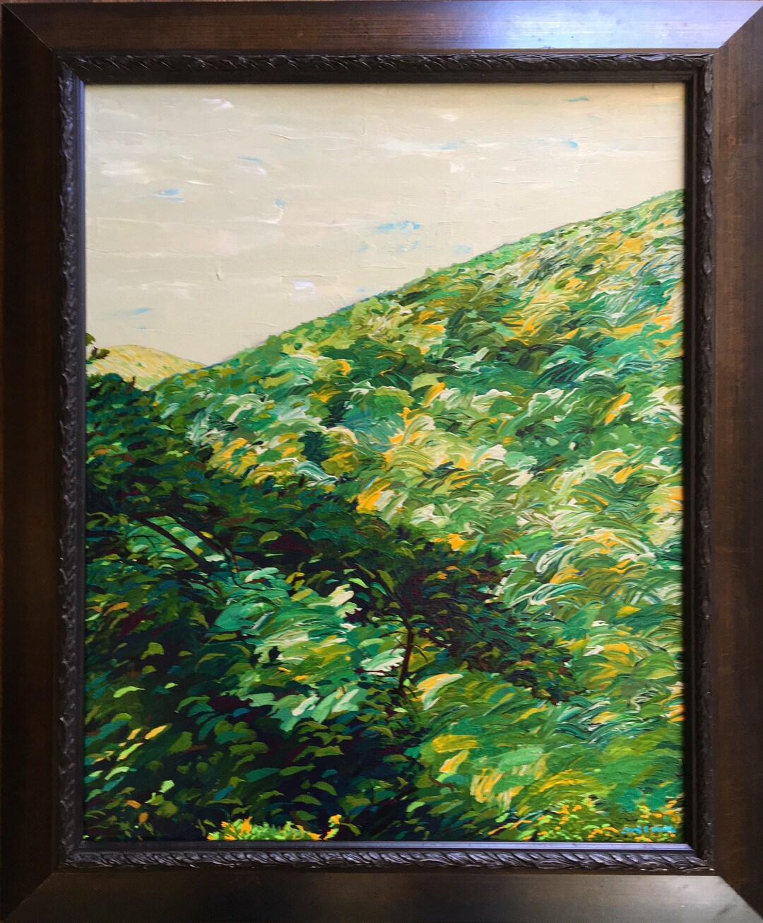 Skyline Drive David Lee Hartle 2021 - Etsy