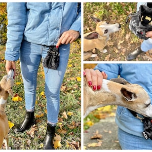 Dog Treat Pouch With Shoulder Strap, Pet Snack Bag With Belt Clip for ...