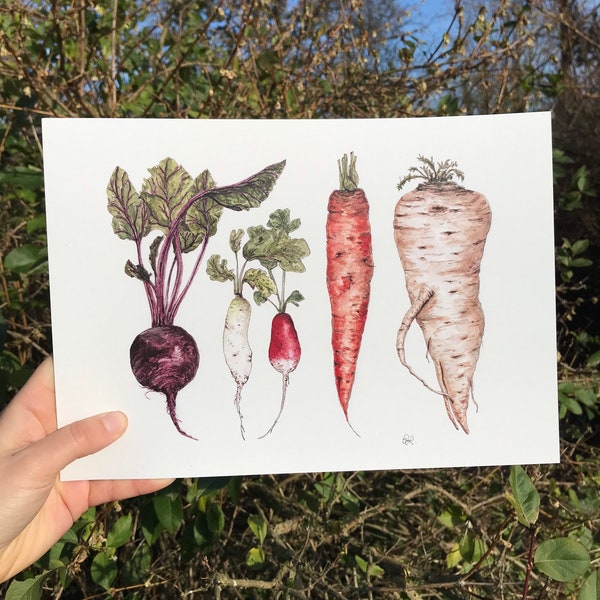 Vegetable Print - Etsy UK