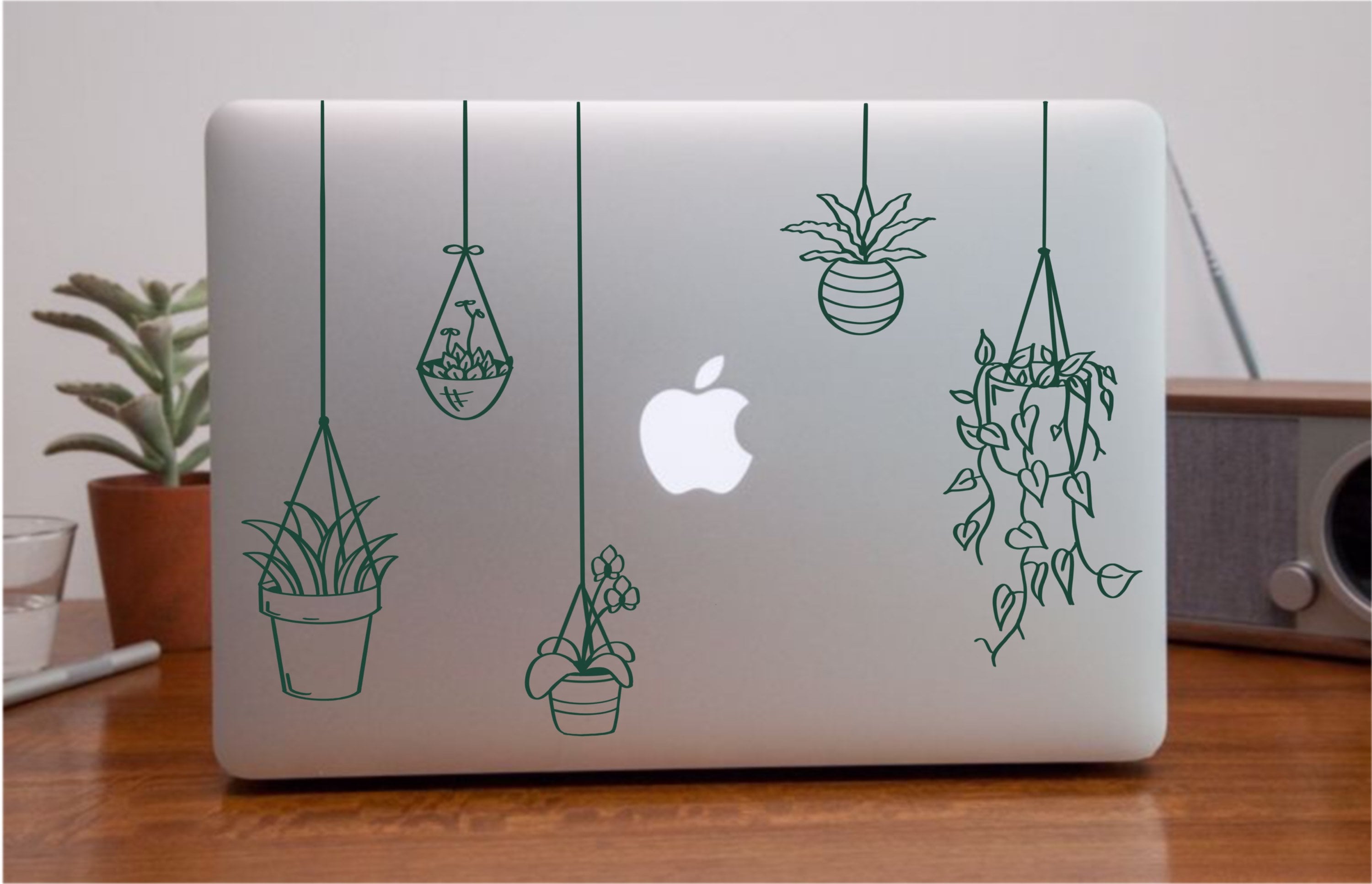 5 Hanging Plant Decals Vinyl Decal/sticker - Etsy
