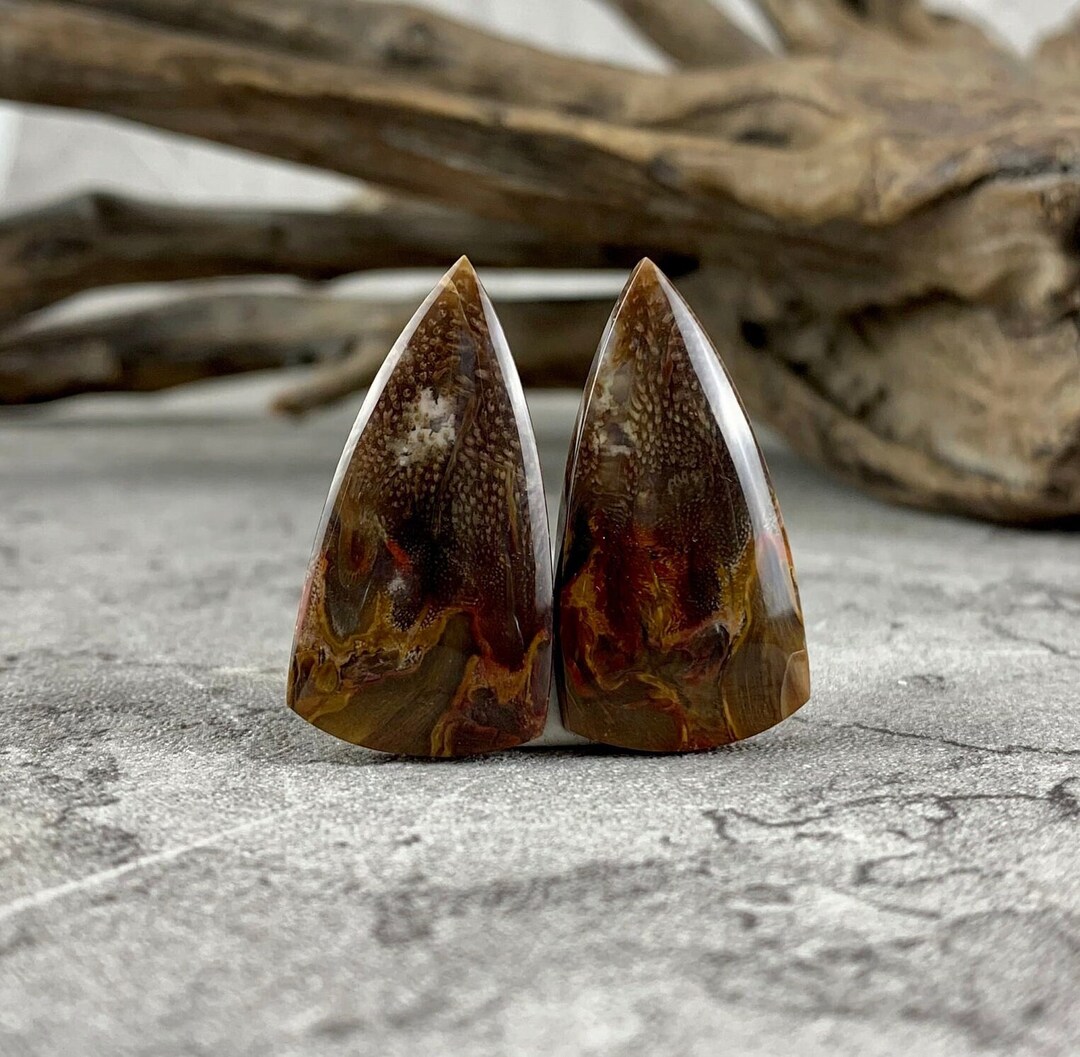 Hot Pieces Fossil Palm Root Cabochon Gemstone Matched Cabochon Earring ...