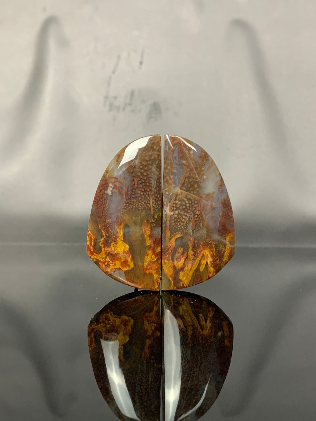 Fossil Palm Wood With Fire Pattern Cabochon - Etsy