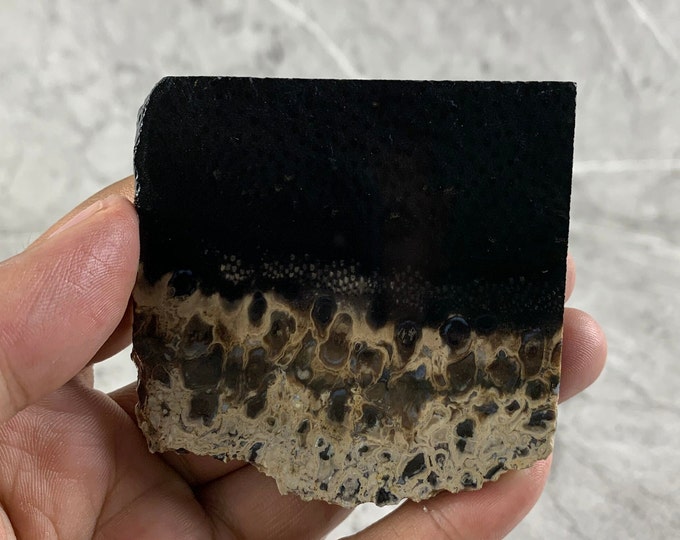 Rough Slabs Fossil Palm Root With Eyes Pattern,raw Material - Etsy