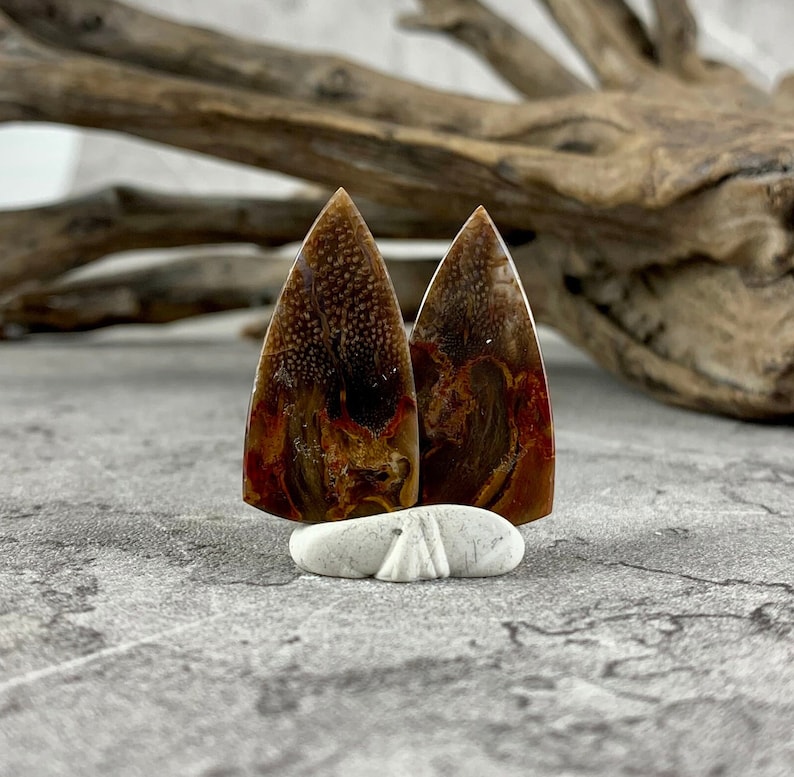 Hot Pieces Fossil Palm Root Cabochon Gemstone Matched Cabochon Earring ...