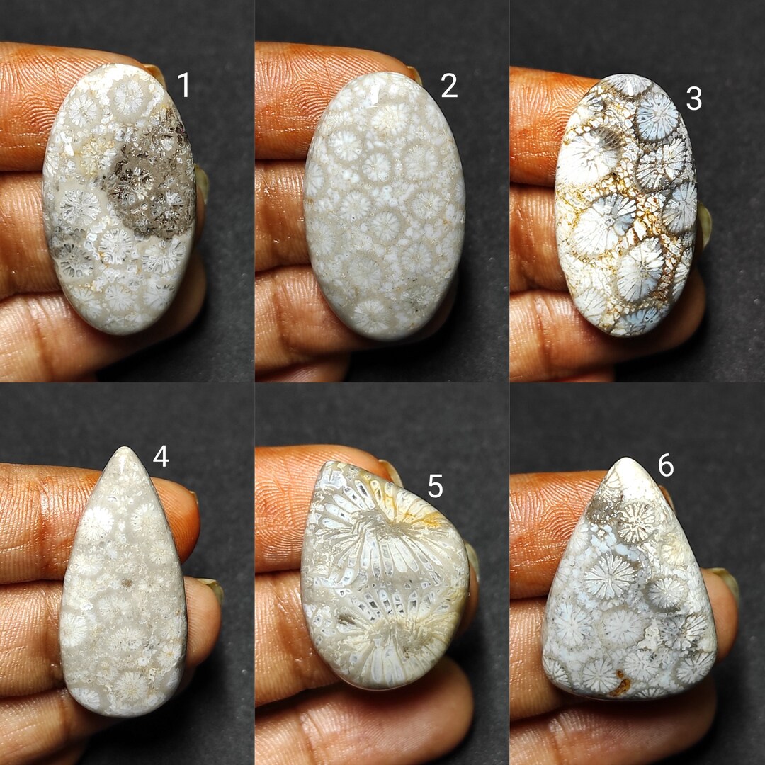 Fossil Coral Natural Fancy Shape Loose Cabochon Gems Stone - Etsy