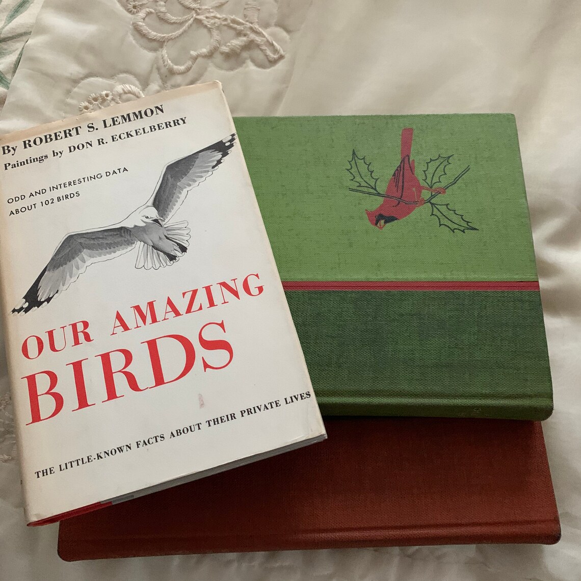 Tres hermosos libros de pájaros - Etsy España