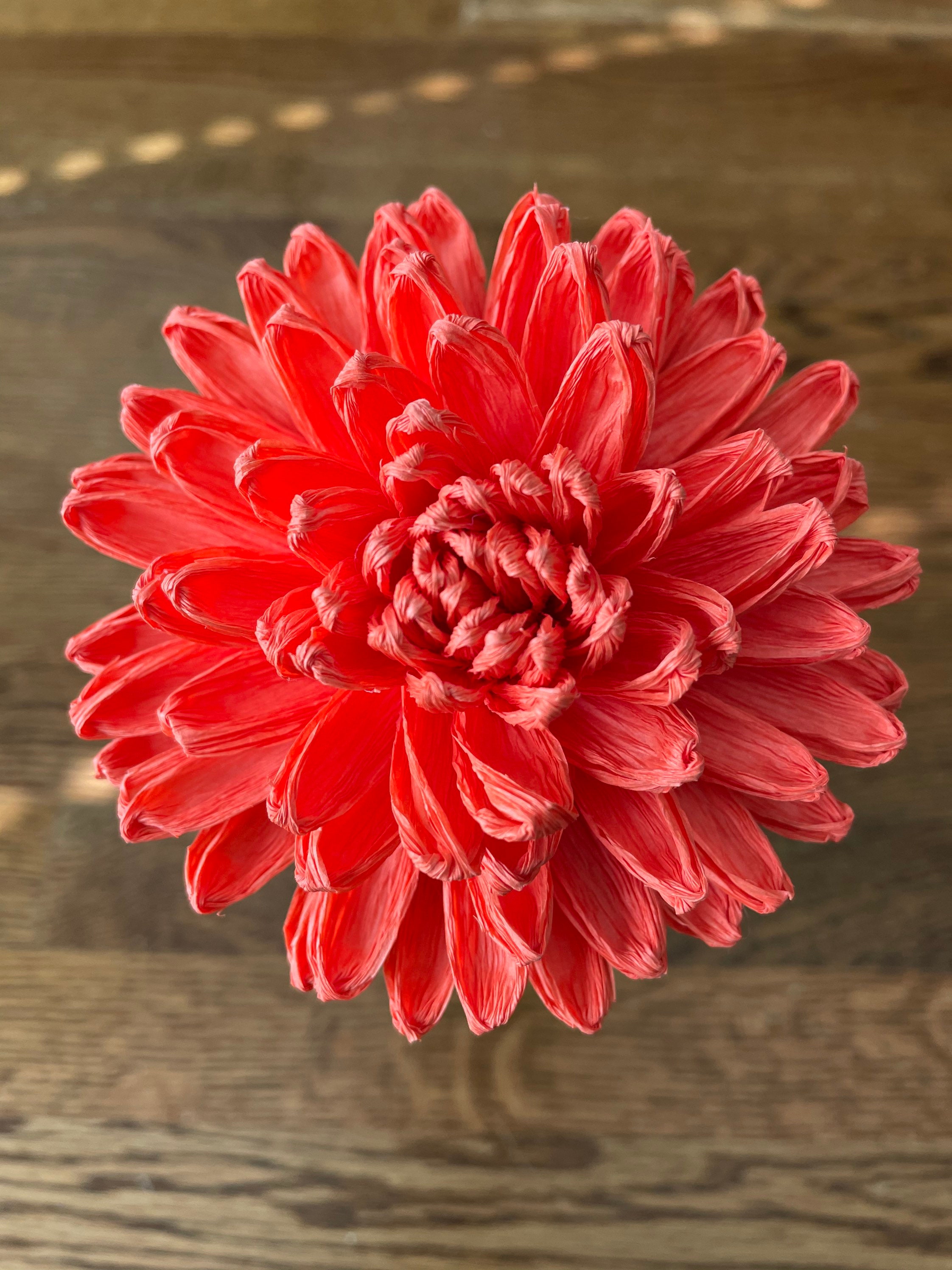 Crepe Paper Mum Bouquet Crepe Paper Fall Flowers Happy - Etsy