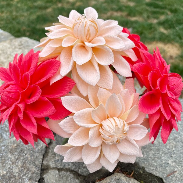Paper Dahlias - Etsy