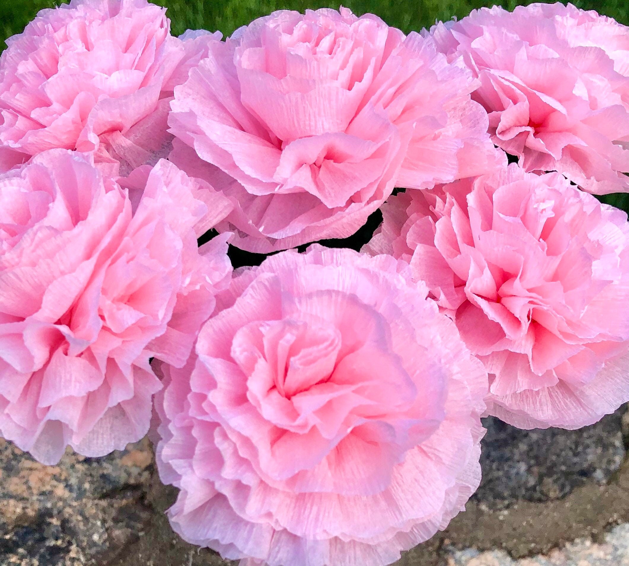 Light Pink Carnation Bouquet