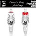 Editable Muscle Map, Female Anatomy Poster Clipart, Highlight Muscle ...