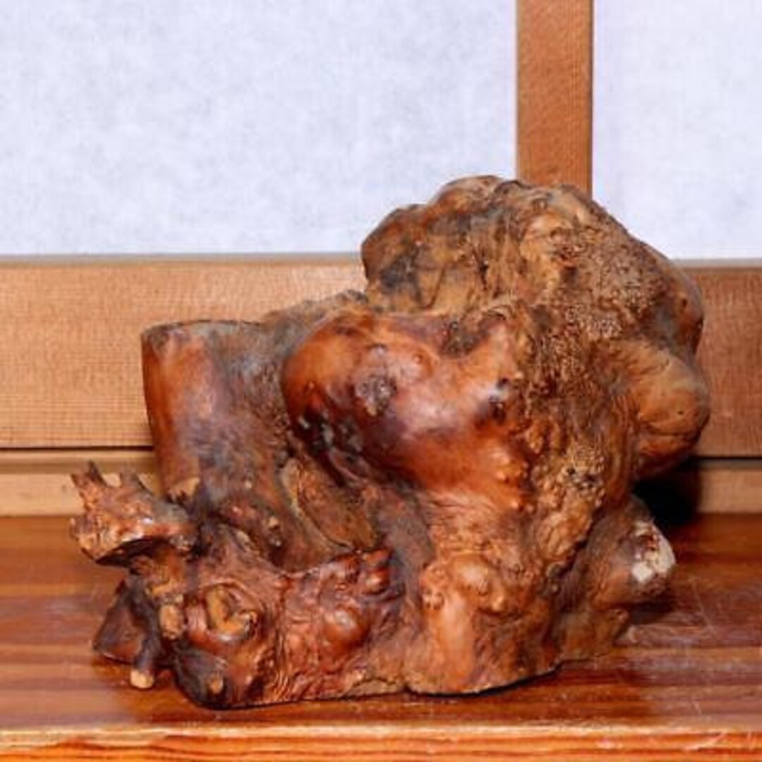 Japanese Wooden Natural Wood Tree Roots Display Object Ornament WO307 ...