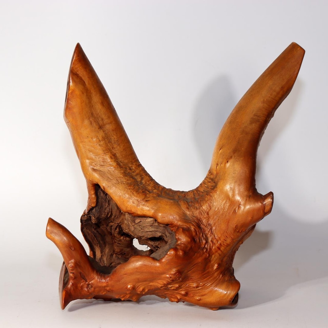 Japanese Wooden Natural Wood Tree Roots Display Object Ornament WO431 ...