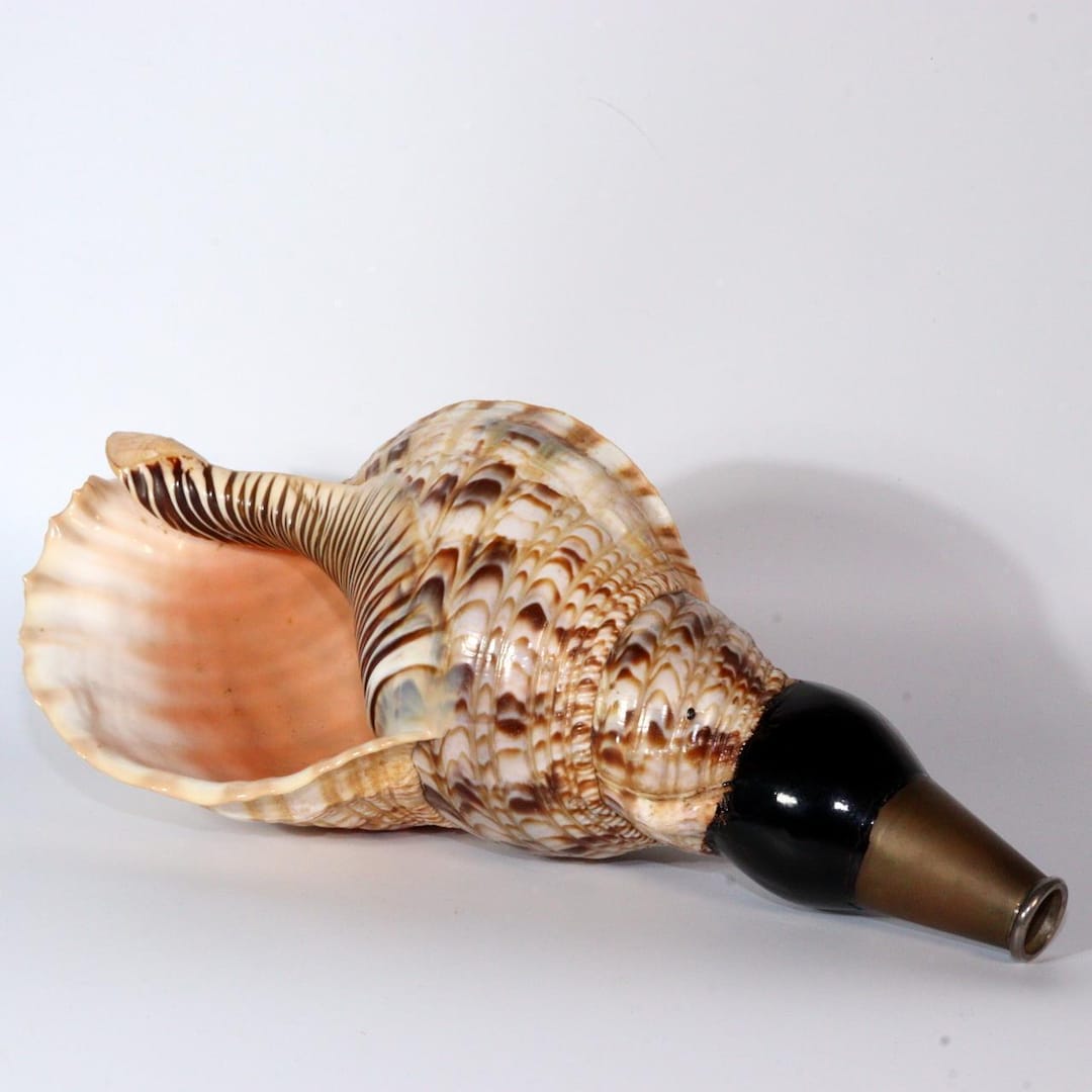 Japanese Conch Shell Trumpet Horagai Yamabushi Shugendo Trumpet SG80 - Etsy