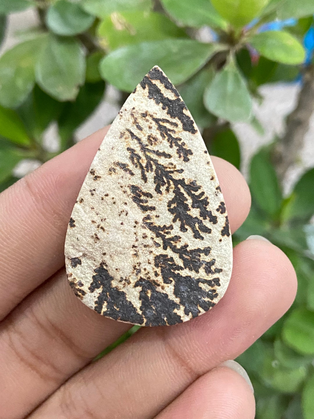 German Dendrite Cabochon / Natural Psilomelane Dendrite / German ...