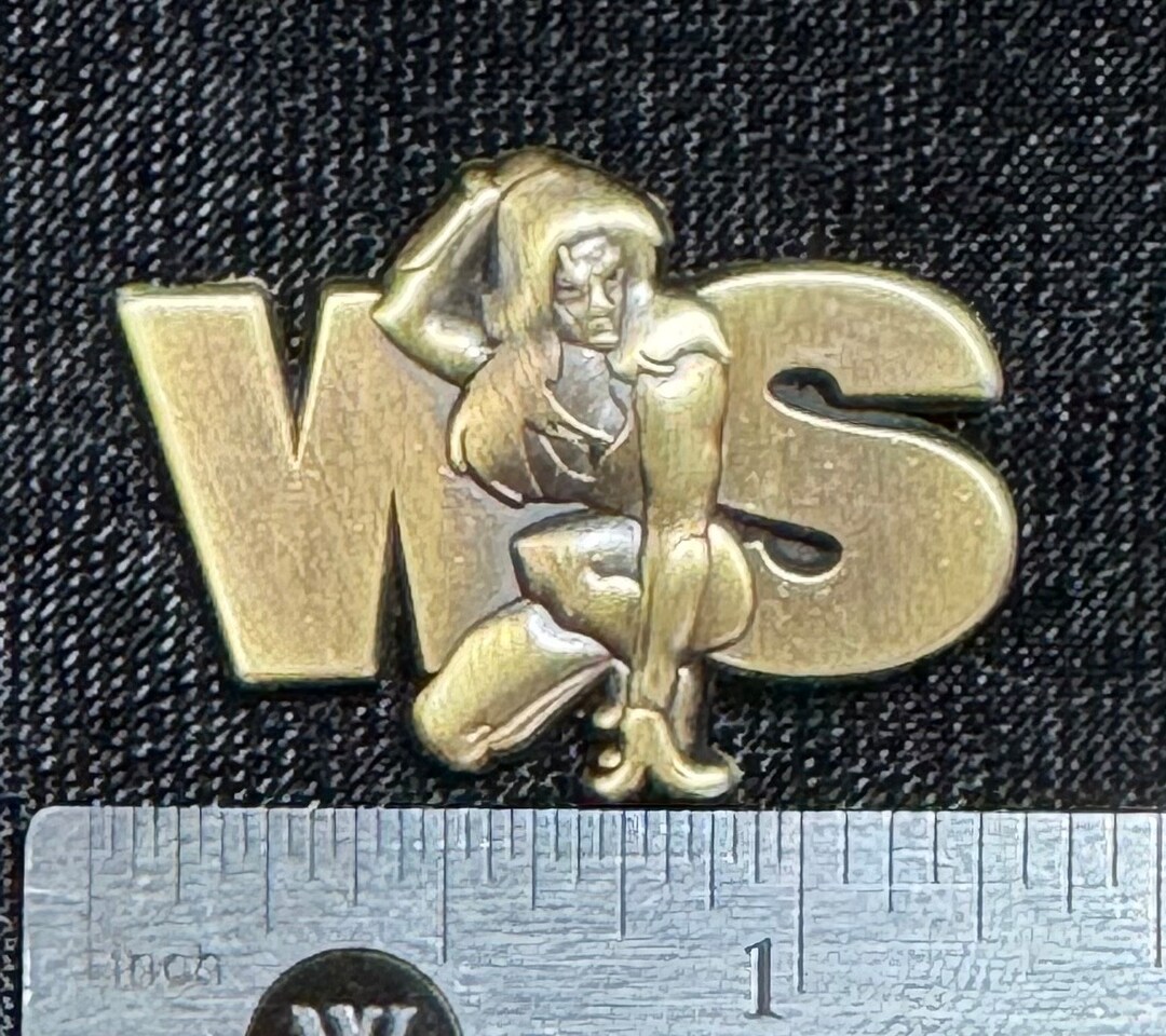 Widows Sons Lapel Pin WS With Widow 1.25” in Antique Gold - Etsy
