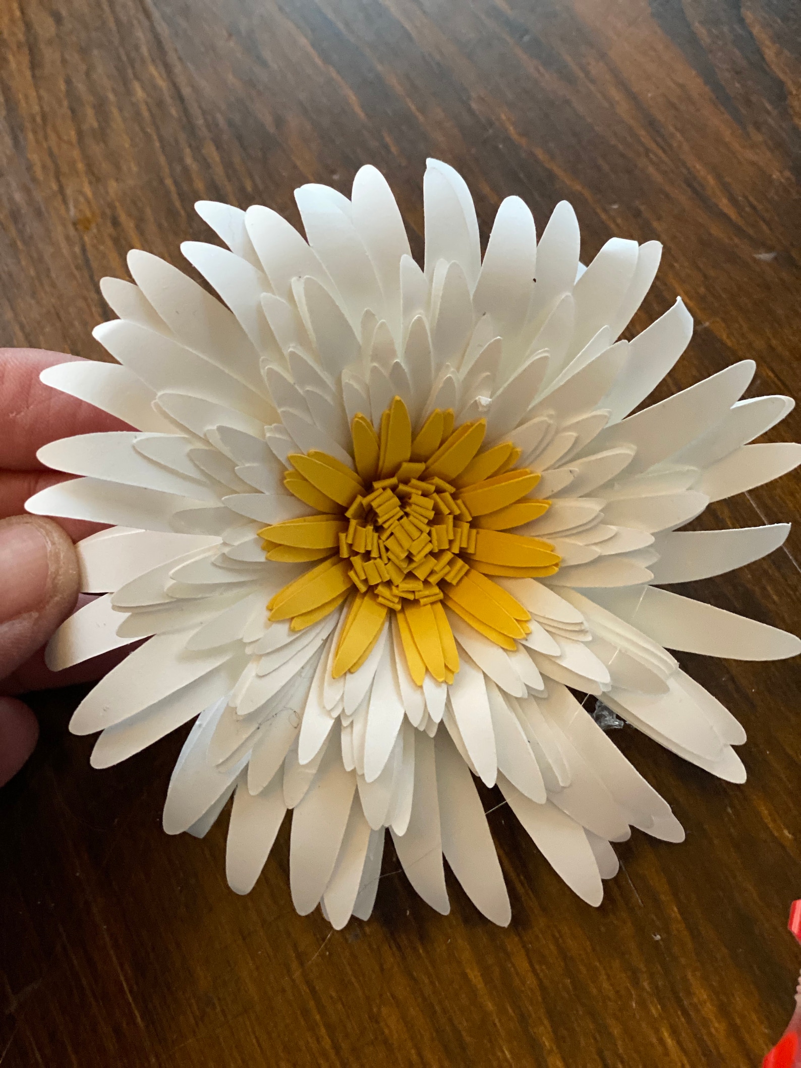 Paper Daisy SVG Template for 3D Flower or Shadowbox, Easy Cut and ...